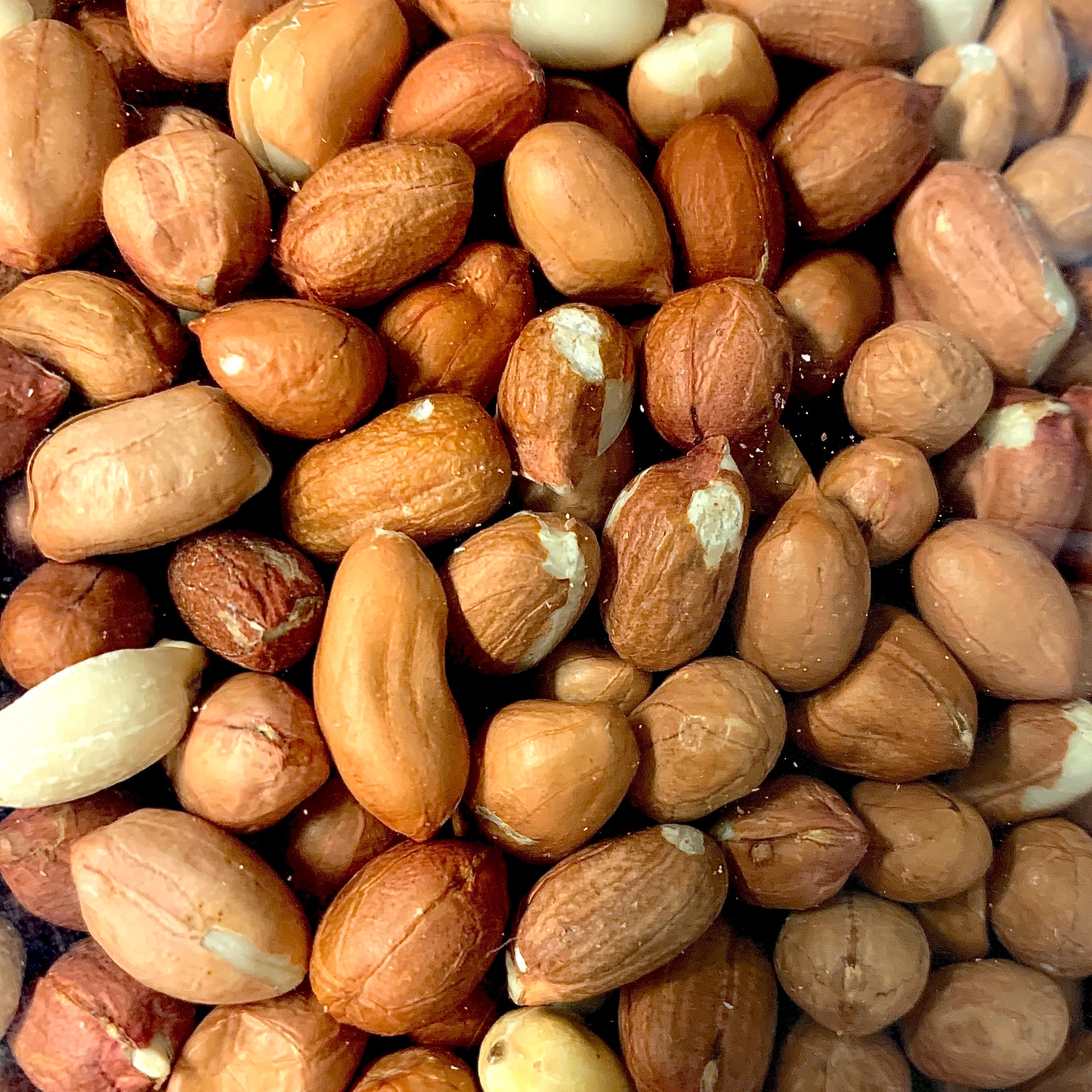 Raw Spanish Peanuts – Cromers Pnuts