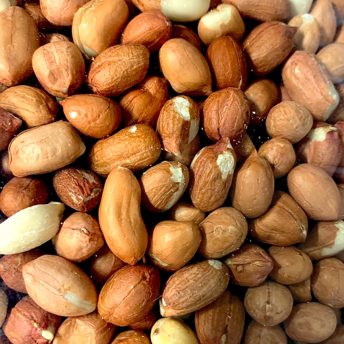 Raw Spanish Peanuts – Cromers Pnuts